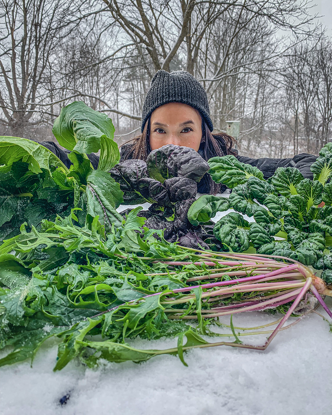 Learn How to Grow Vegetables Indoors During a Canadian Winter - planted ...