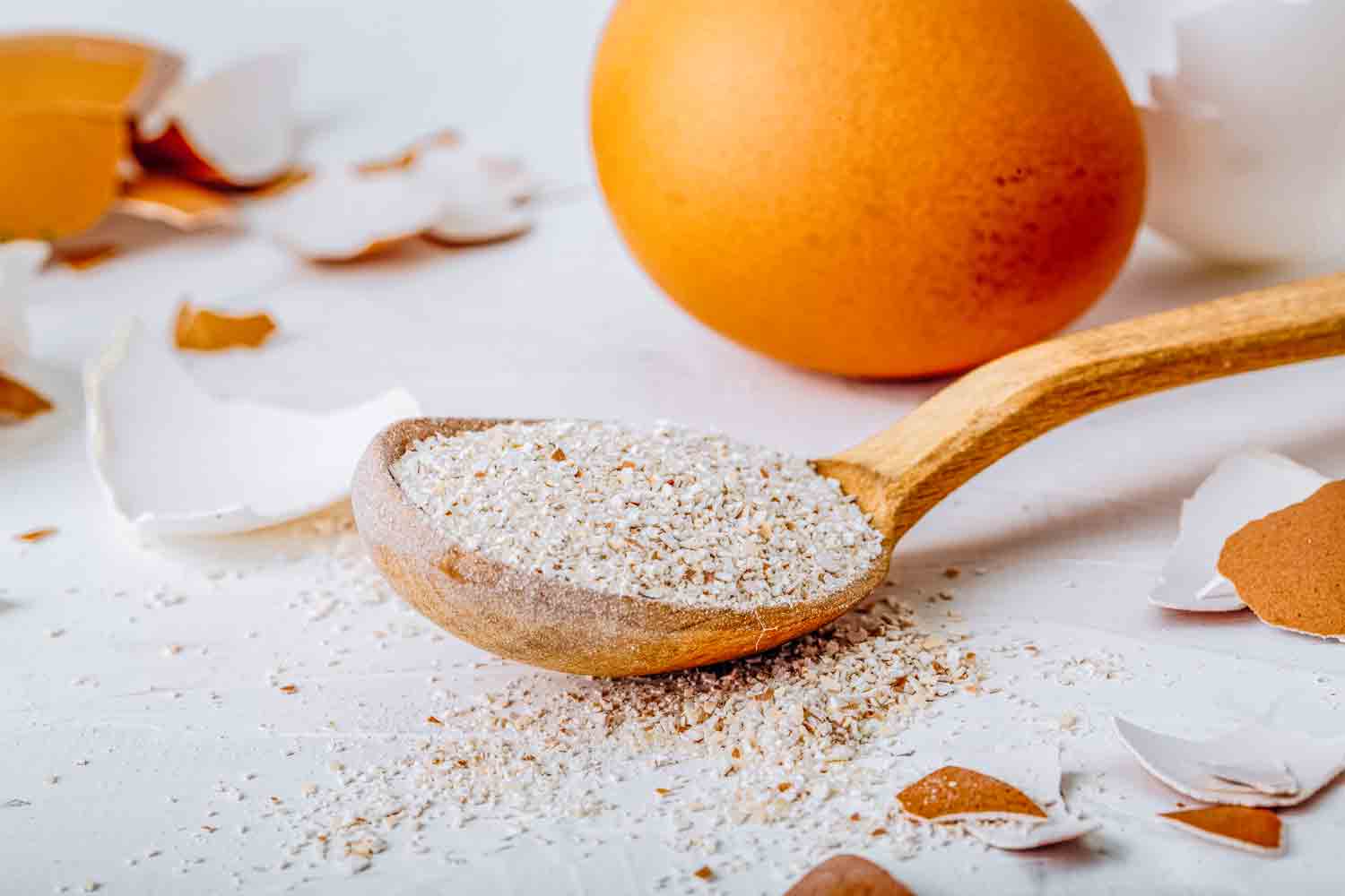 How to Make your own Eggshell Powder for your Garden - planted in the ...
