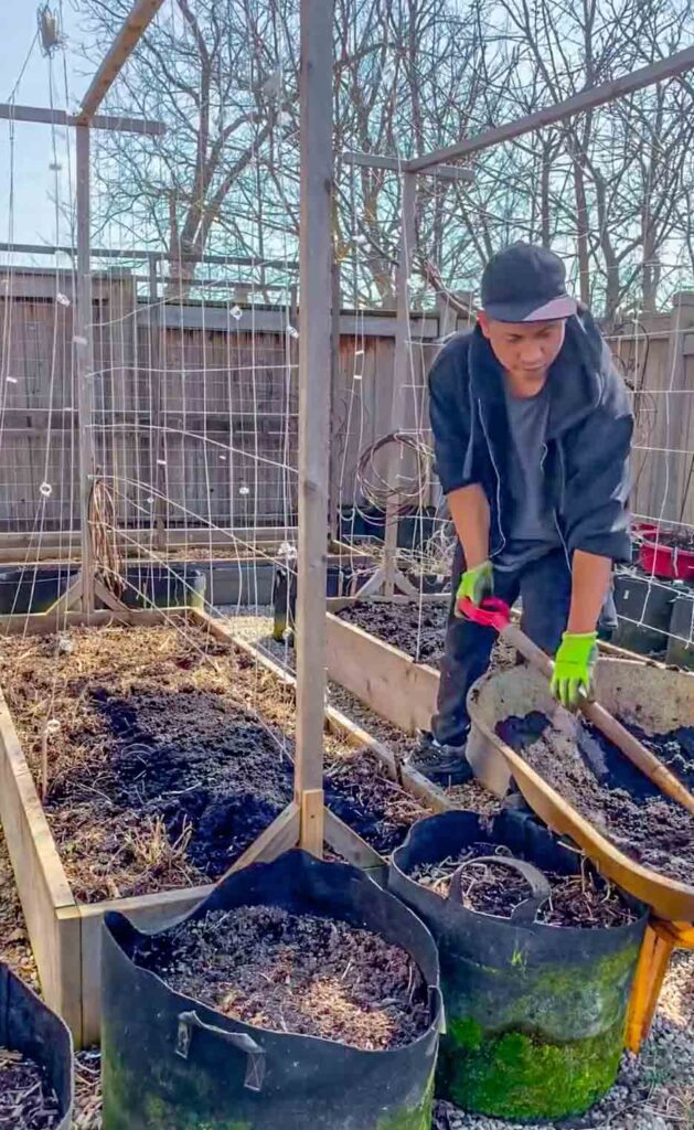 How to Plan a Successful Spring Garden - planted in the garden